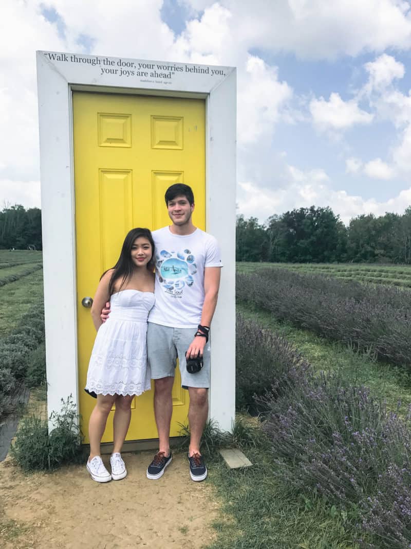 17 Lavender Fields in Ontario to Visit (Close to Toronto!)