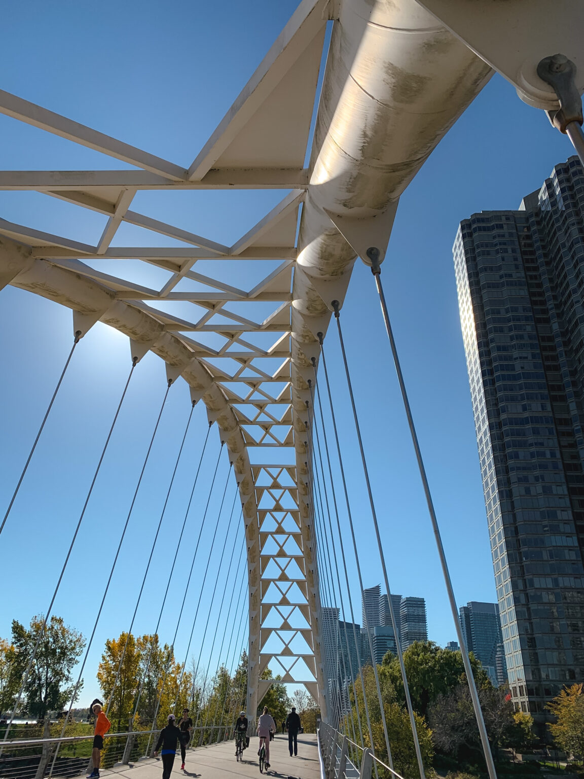 7 Best Toronto Bike Trails & Paths to Cycle on This Summer