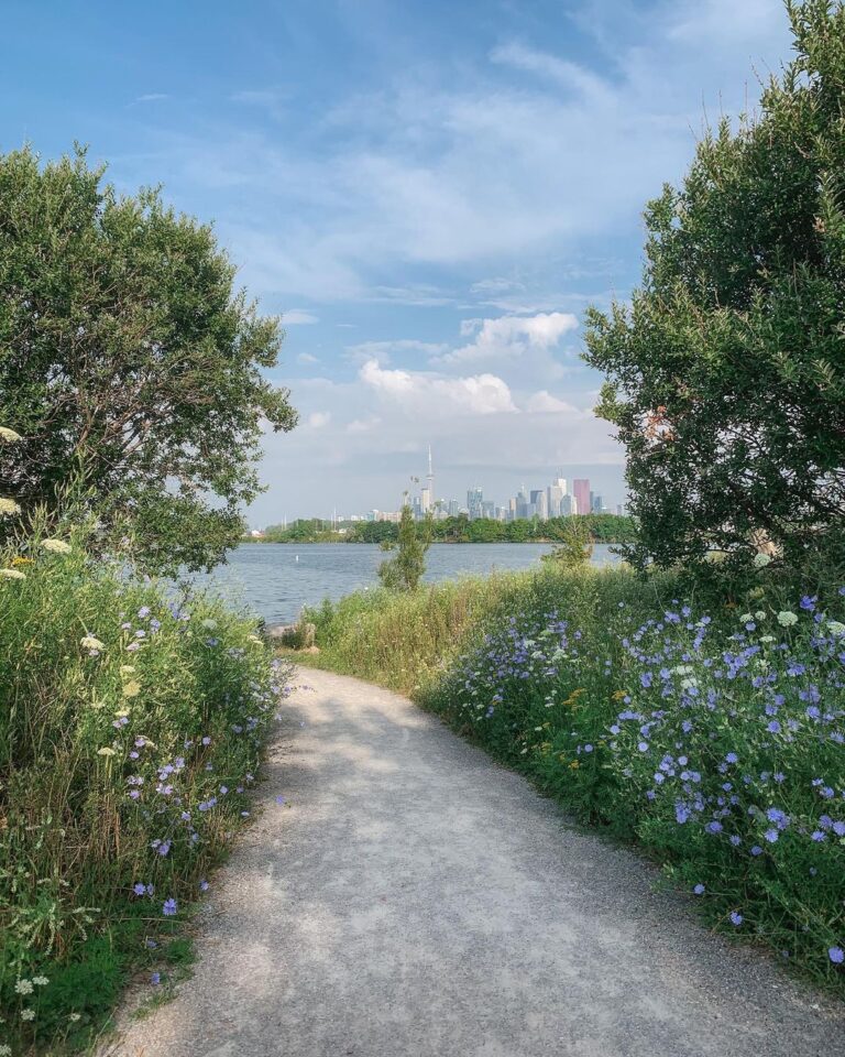 7 Best Toronto Bike Trails & Paths to Cycle on This Summer