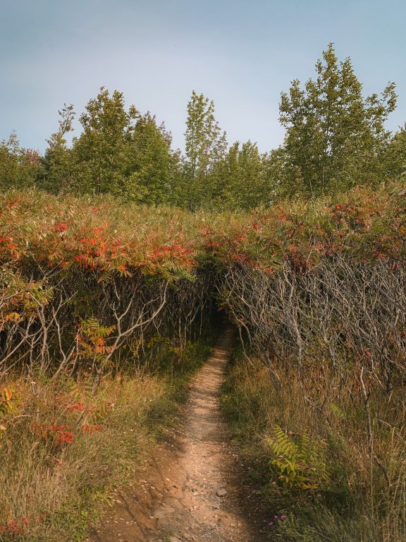 Mono Cliffs Provincial Park: The Ultimate Day Hike in Ontario
