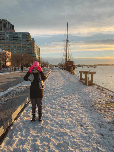 11 Fun Things to Do in Toronto During Winter (Activities & More!)