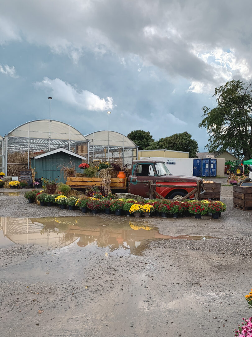 20 Cute Pumpkin Farms in Ontario Worth Checking Out
