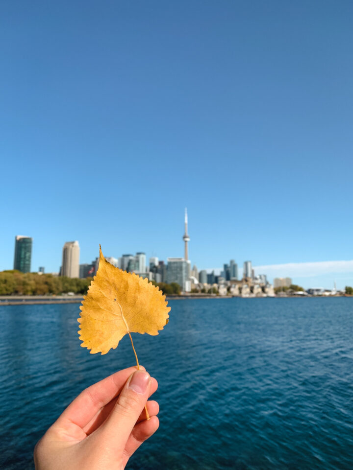 8 Best Places to See Fall Colours in Toronto