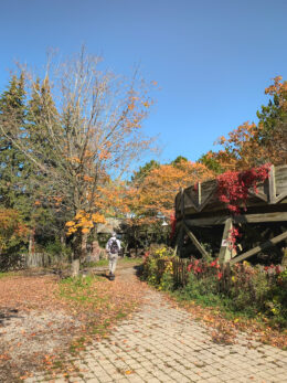 8 Best Places to See Fall Colours in Toronto