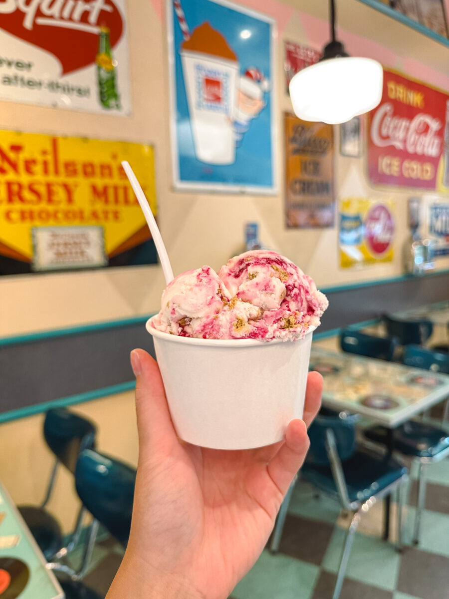 8 Best Ice Cream Spots in Burlington You Must Visit