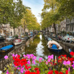 15 Fun Things to Do in Amsterdam (Must-Do Activities!)